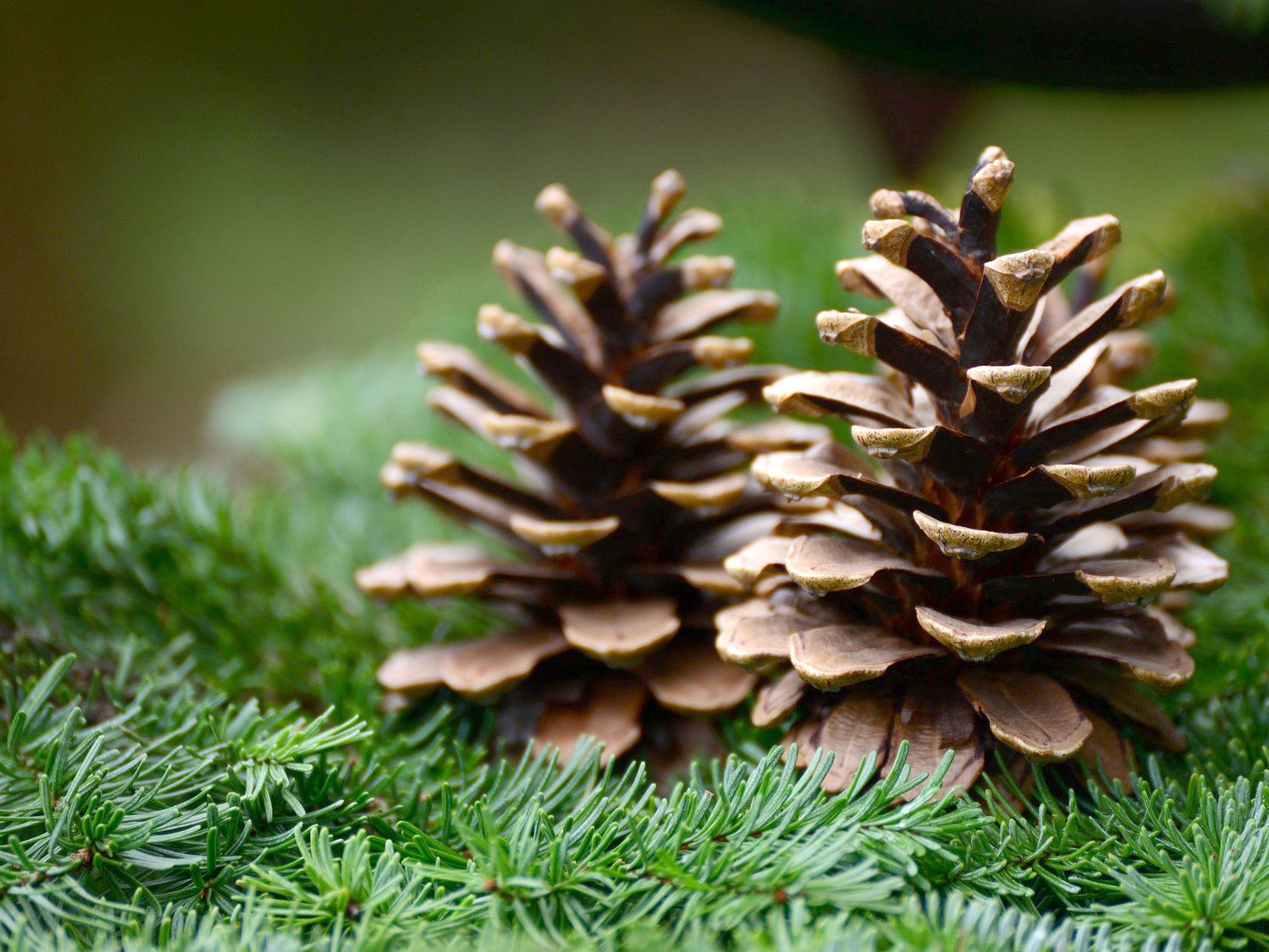 Gestion de la relation citoyen de ... - Accueil
