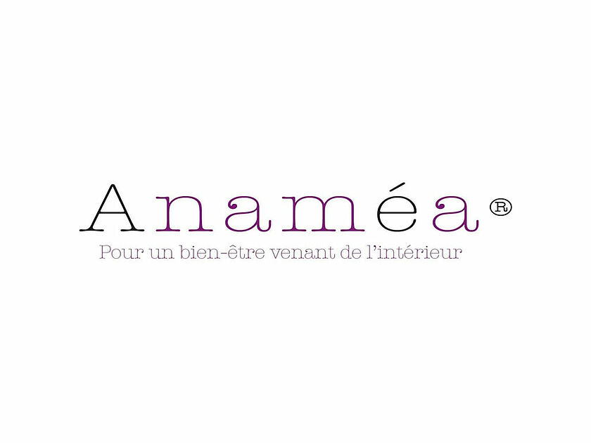 Anaméa - Ville de Plaisir